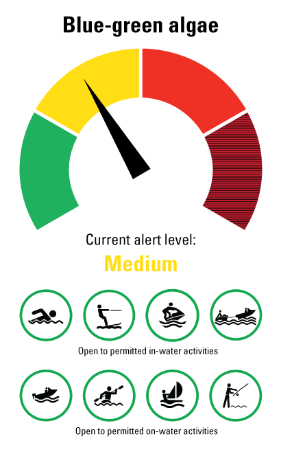 Blue-green algae levels | Seqwater