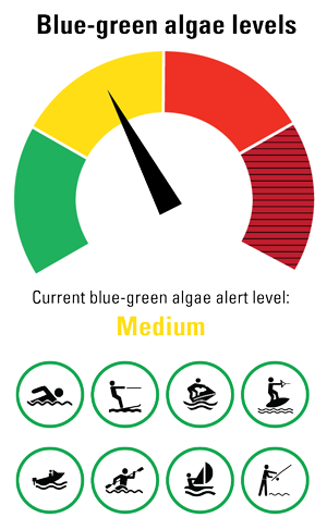 Blue-green algae levels | Seqwater