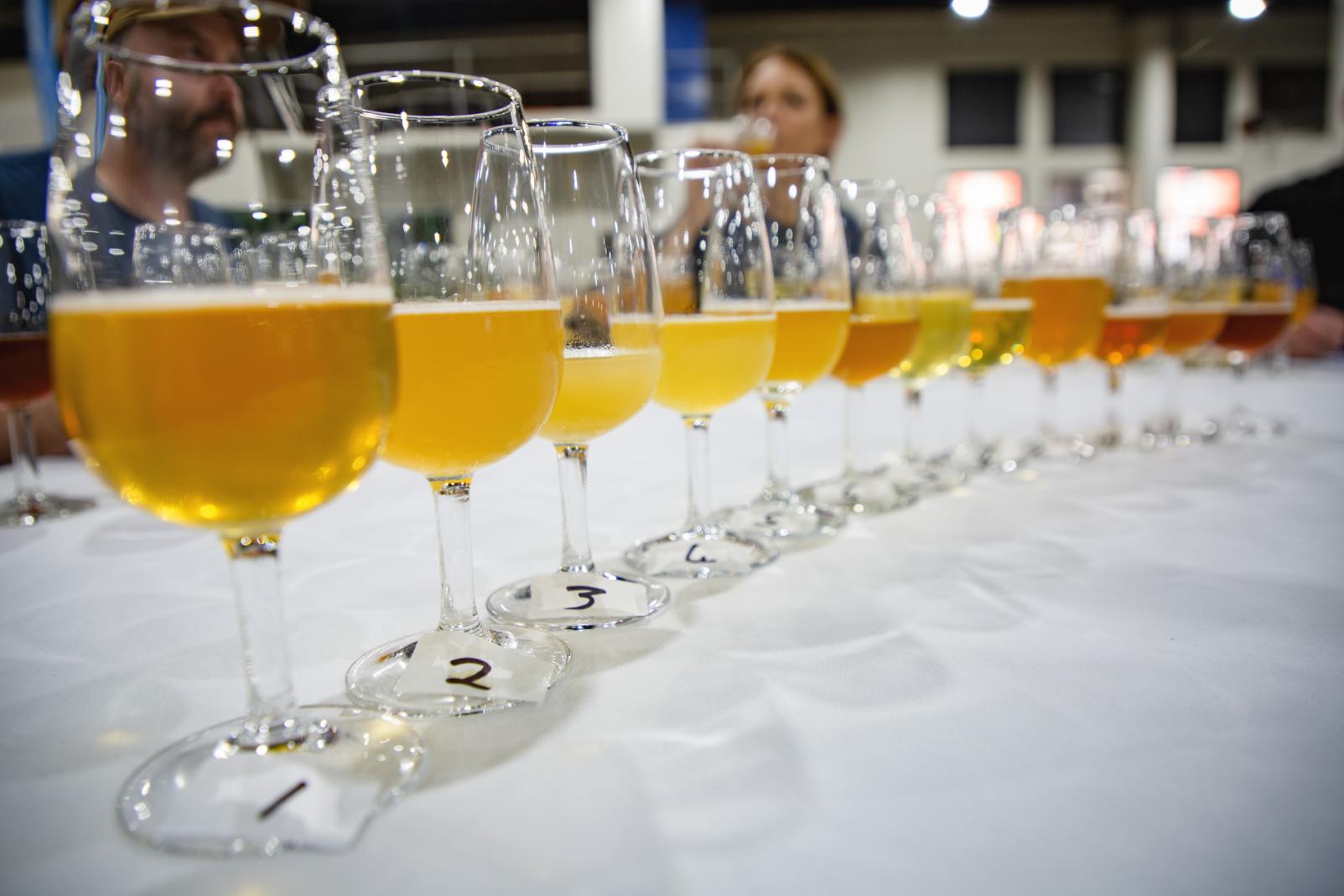 Beer makers tap into desalinated water to produce unique brews | Seqwater