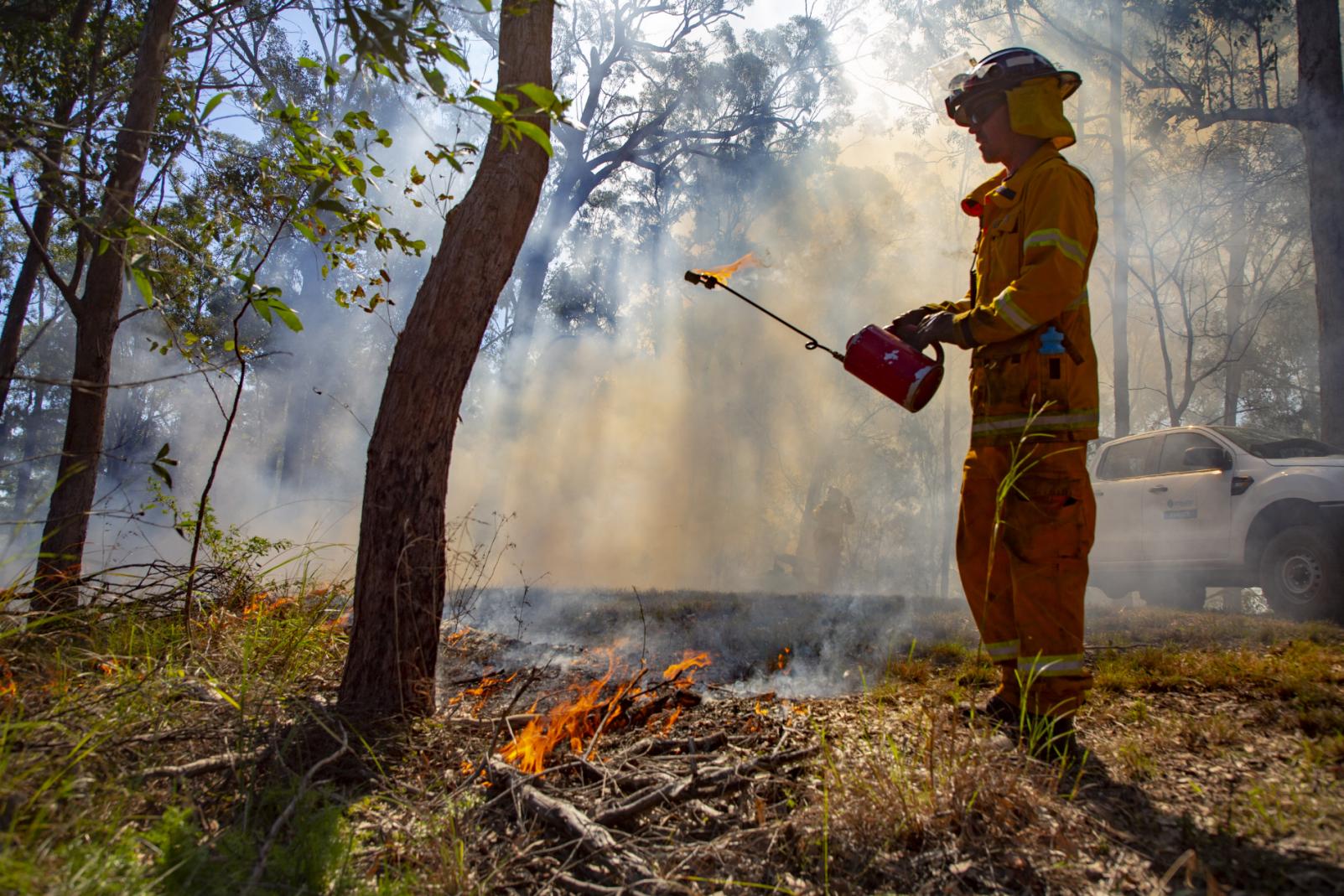 Planned burns | Seqwater