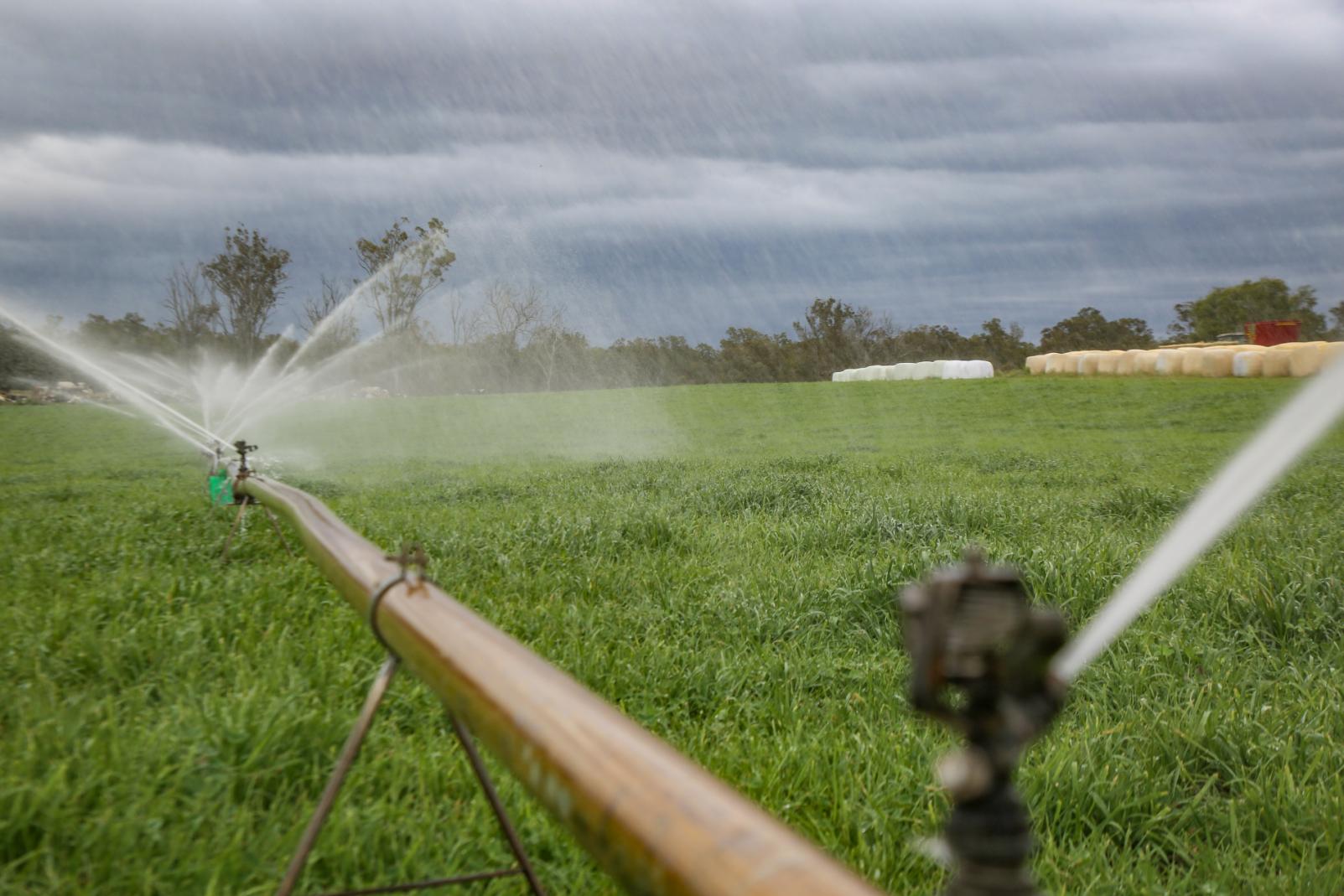 Seqwater connecting customers with new online hub | Seqwater